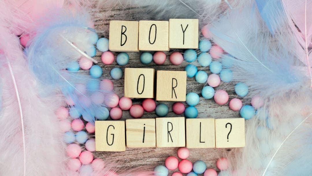50 Creative Gender Reveal Ideas for Every Budget (2026) | Reveal Together