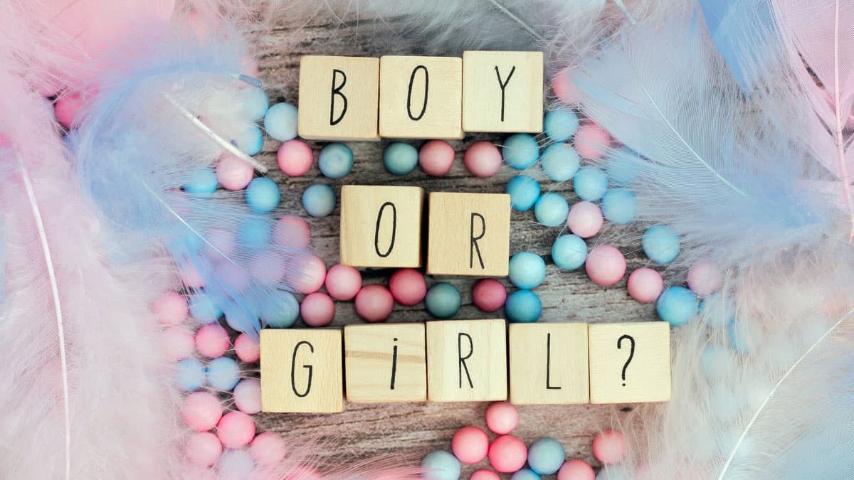Gender Reveal Box Ideas: What to Put Inside & DIY Guide | Reveal Together